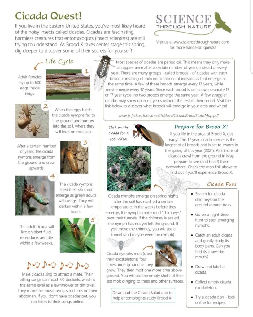 Store - Science Through Nature